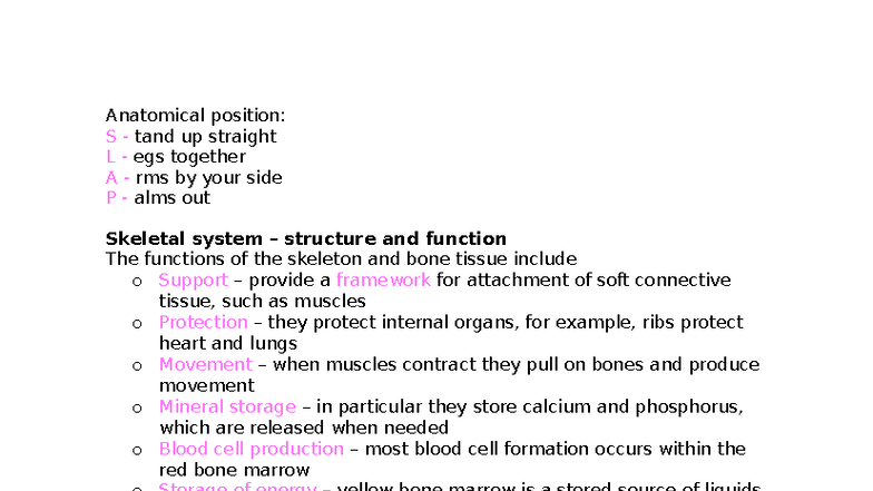 Anatomical Position & Skeletal System Functions - HAMS Notes - Studocu