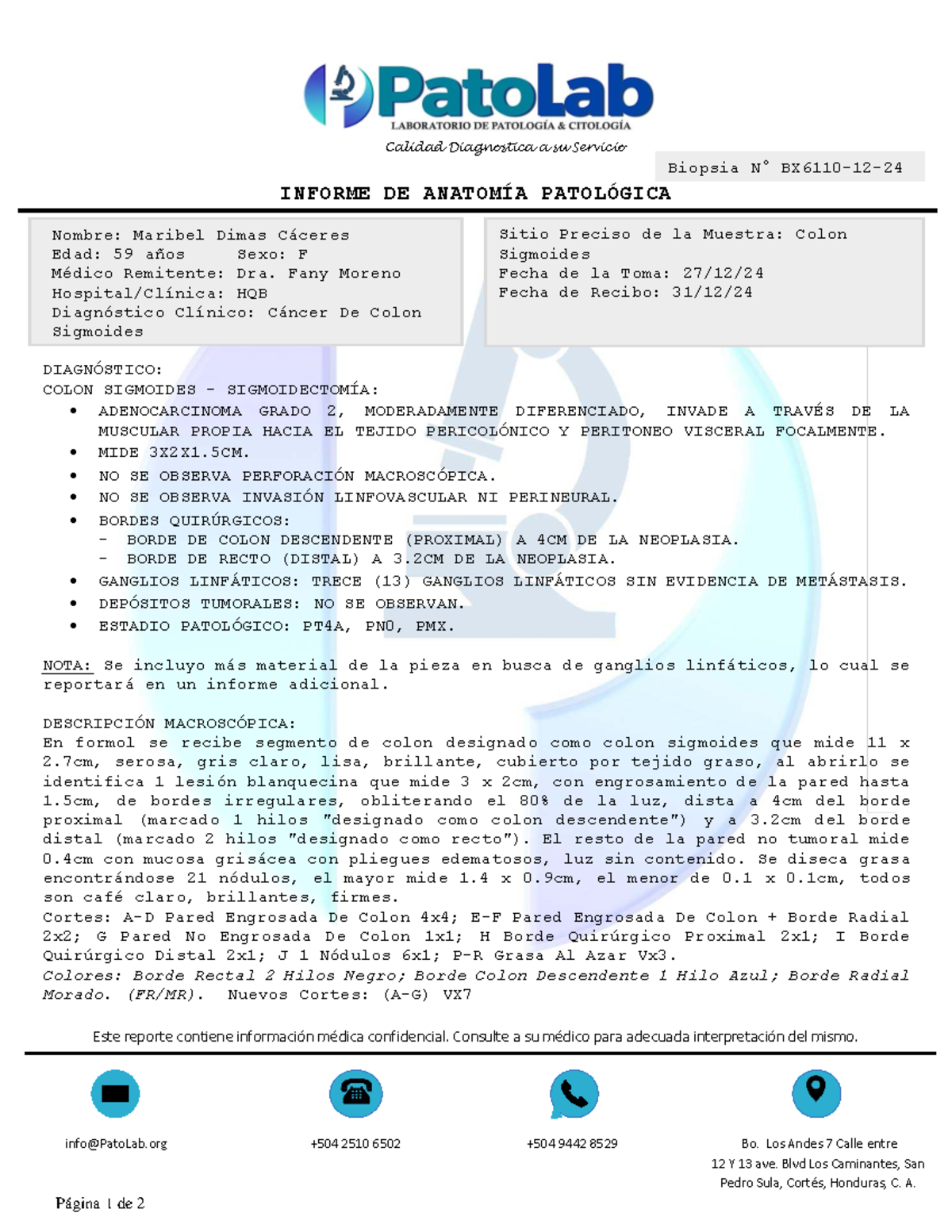Informe Patológico de Biopsia: Cáncer de Colon Sigmoides - BX6110-12-24 ...