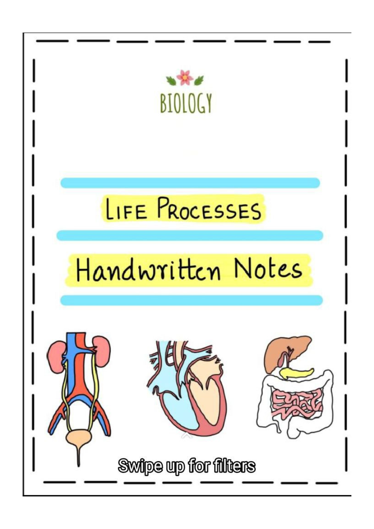 BIOLOGY 10 - Life Processes: Comprehensive Chapter Notes - Studocu