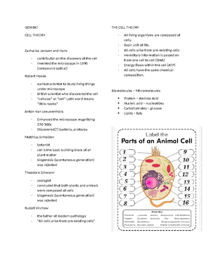 EXAM Questionnaire - LESSON 3: Patterns of Development in Writing ...