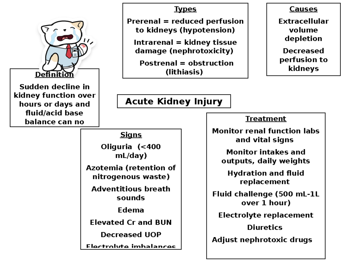 AKI and CKD concept maps - Types Prerenal = reduced perfusion to ...