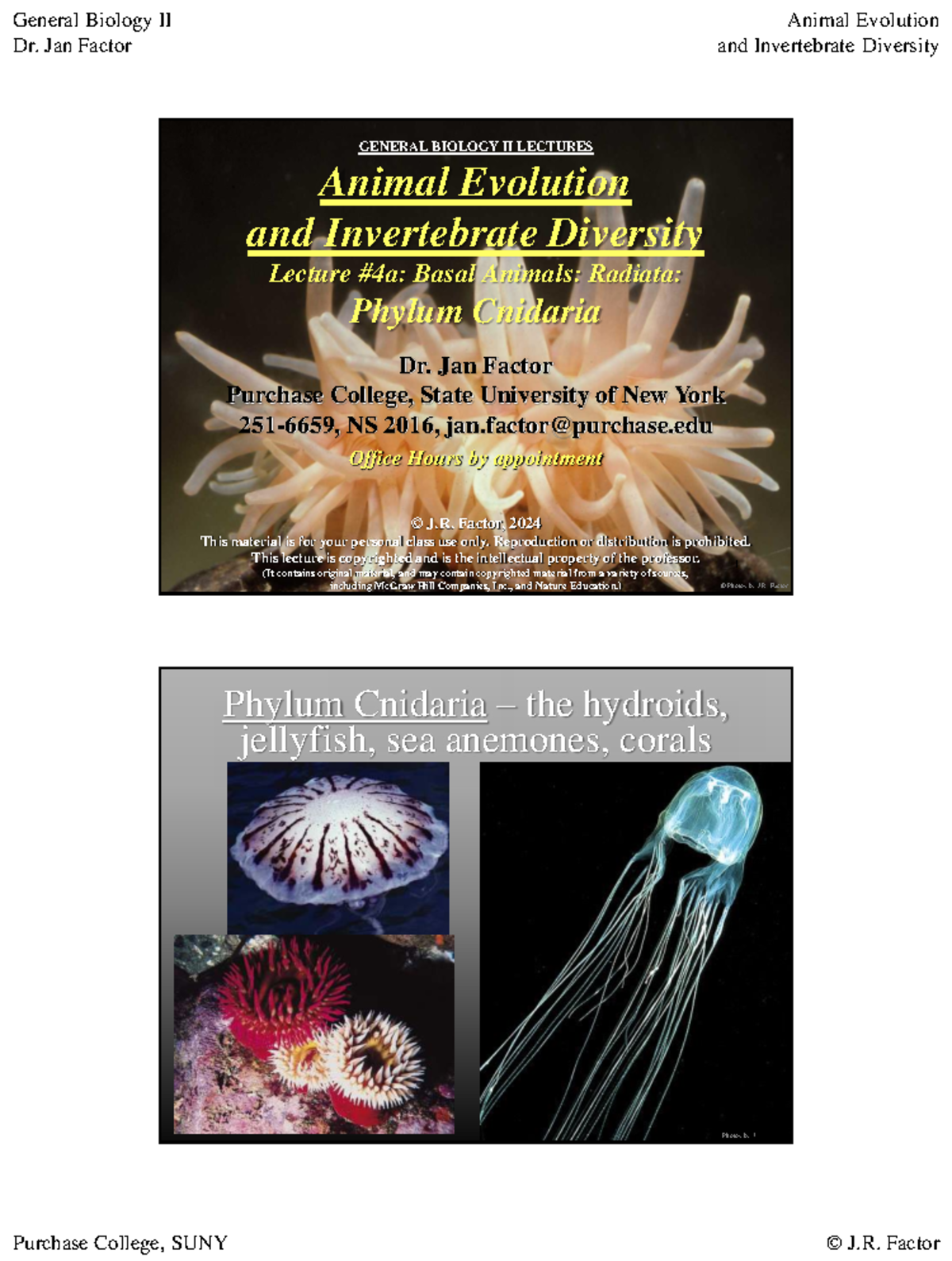 General Biology II: Lecture on Animal Evolution - Phylum Cnidaria - Dr ...