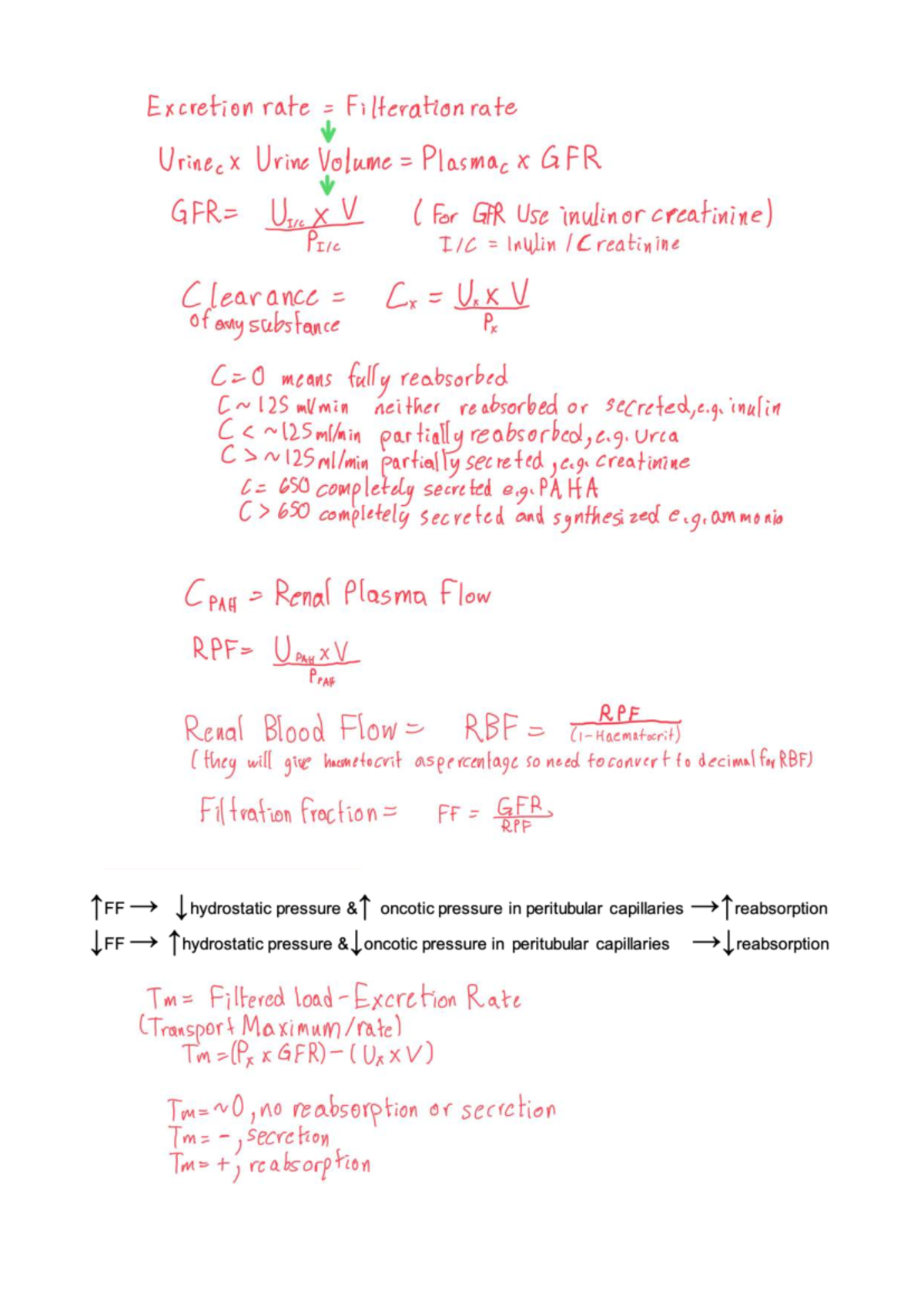Renal Physiology Formulas (240602) for GFR & Excretion Rates - Studocu
