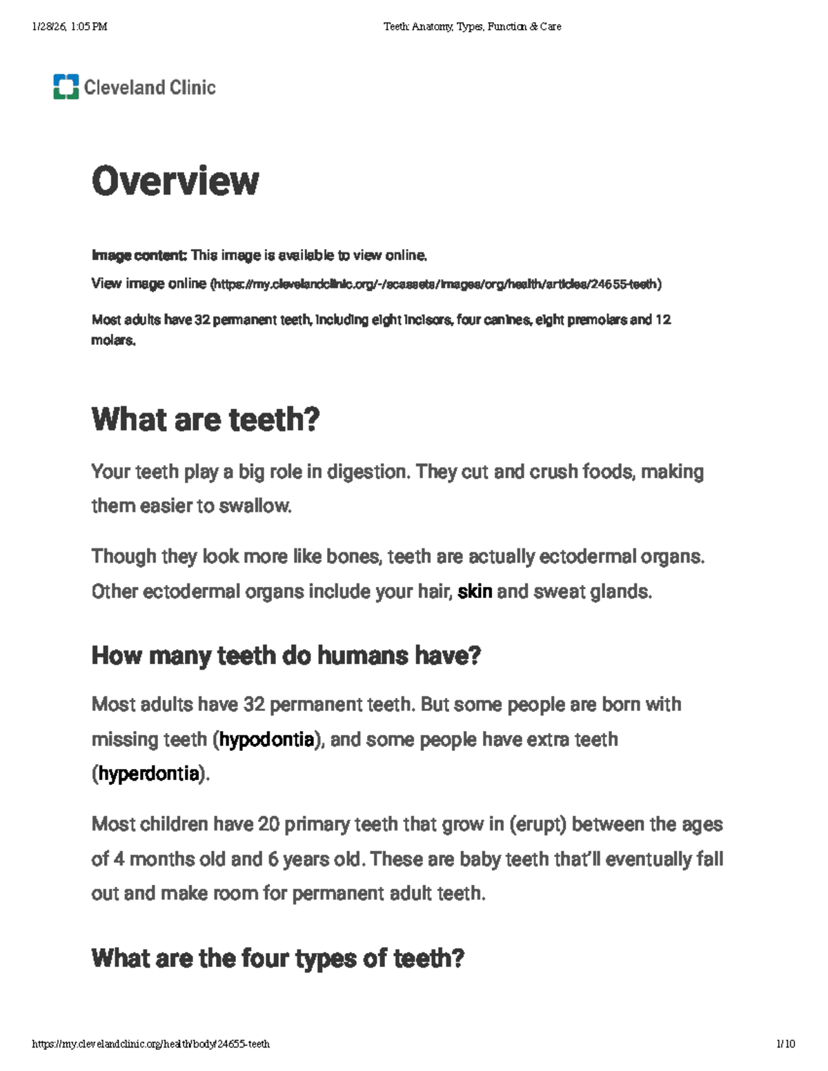 1:05 PM Teeth: Anatomy, Types, Functions, and Care Overview - Studocu