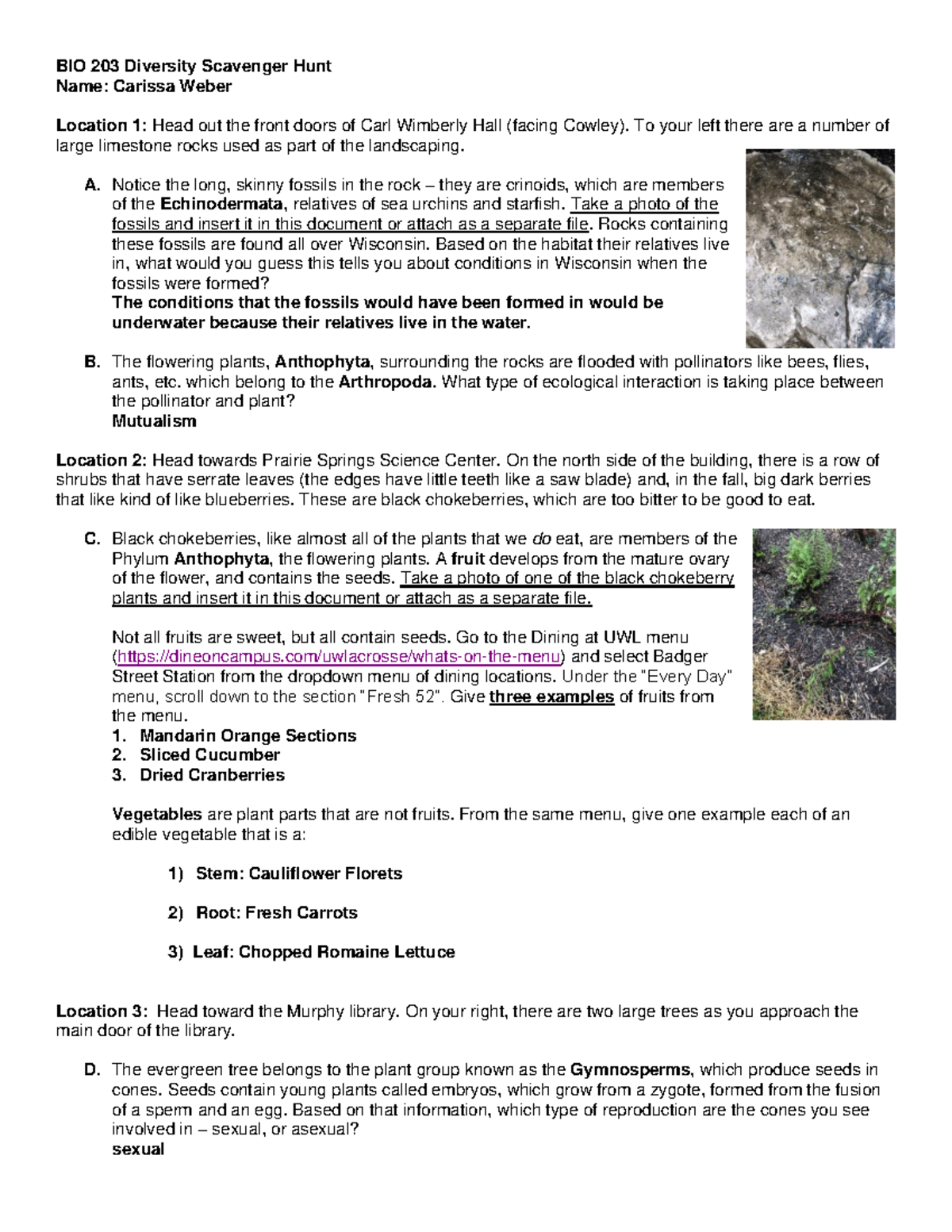 BIO 203 Final Exam: Biodiversity Scavenger Hunt Guide - Studocu