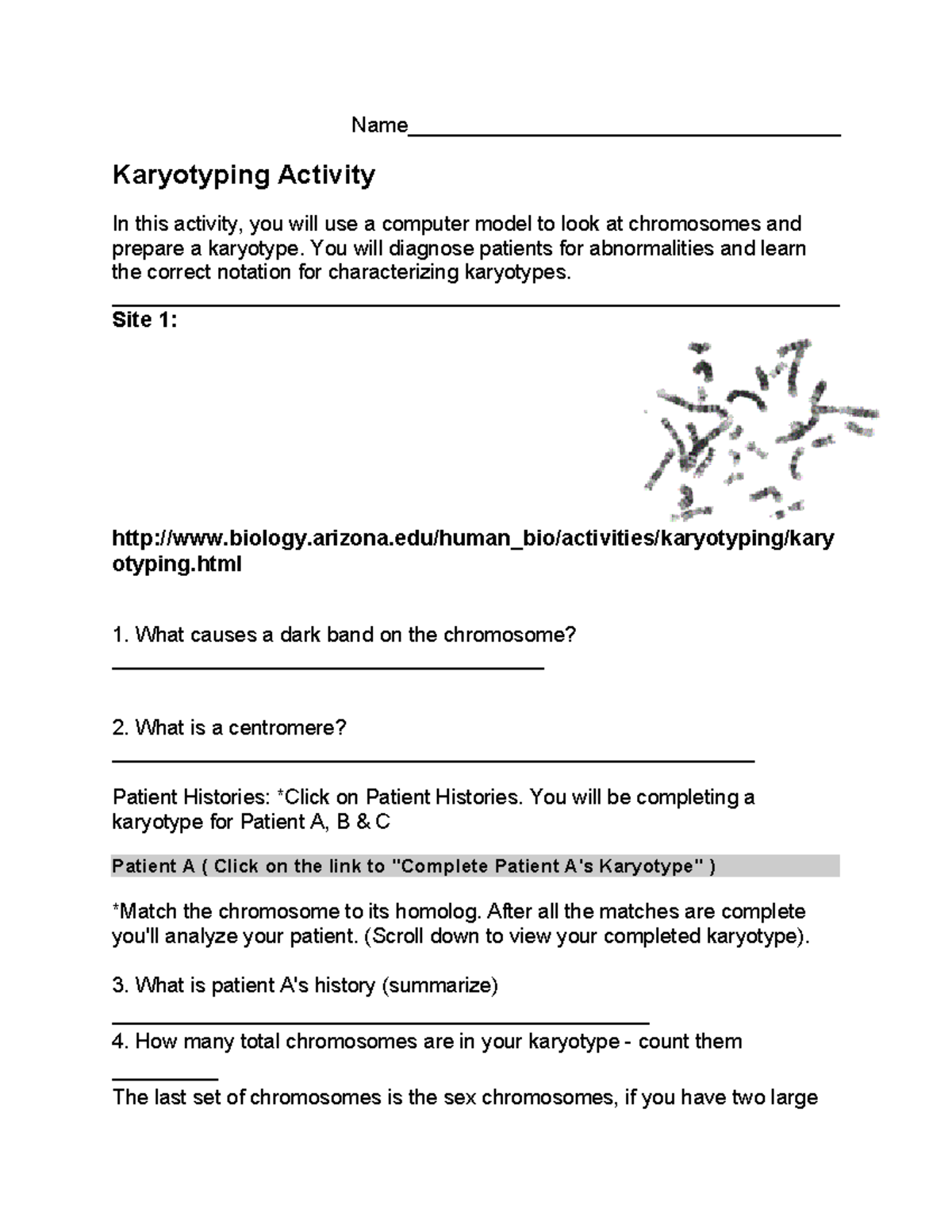 Karyotyping Activity - Patient Assessment & Diagnosis Assignment - Studocu