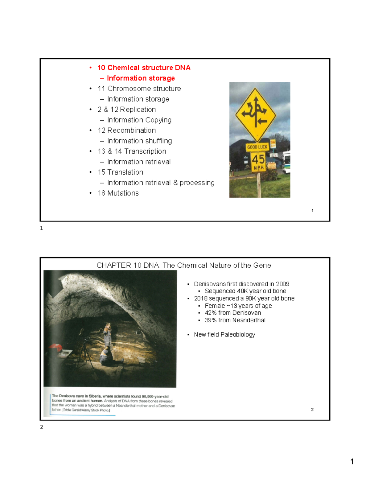 AS_3213_F2025_1.02_Chapter_10_DNA_Chemical_Structure_and_Functions ...