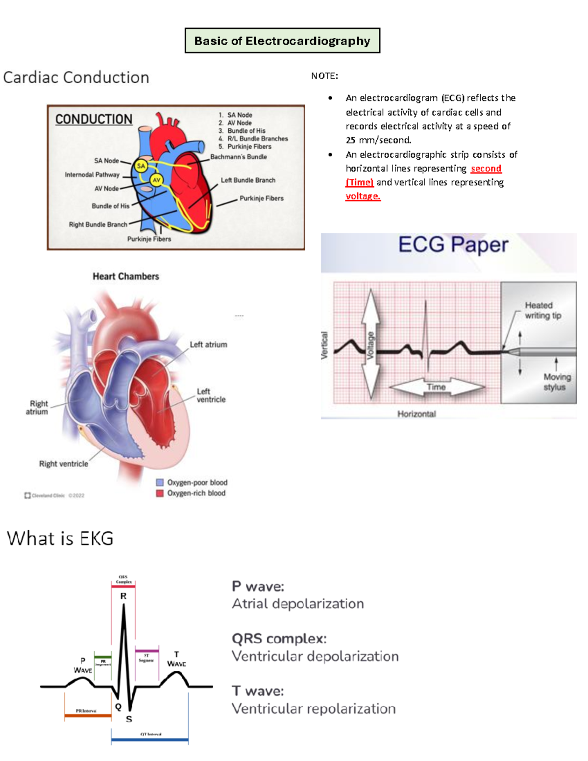 Basic of Electrocardiography (ECG) - Key Interpretation Steps - Studocu