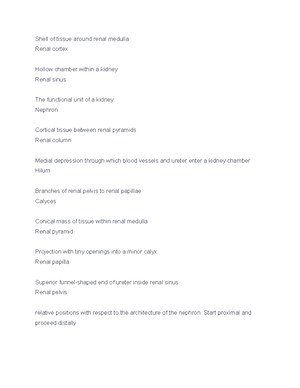 Basic concept transfers - ACTIVE LEARNING TEMPLATES Basic Concept ...