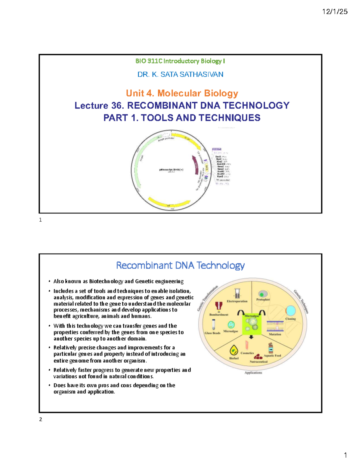 BIO 311C Lecture 36: Recombinant DNA Technology - Studocu