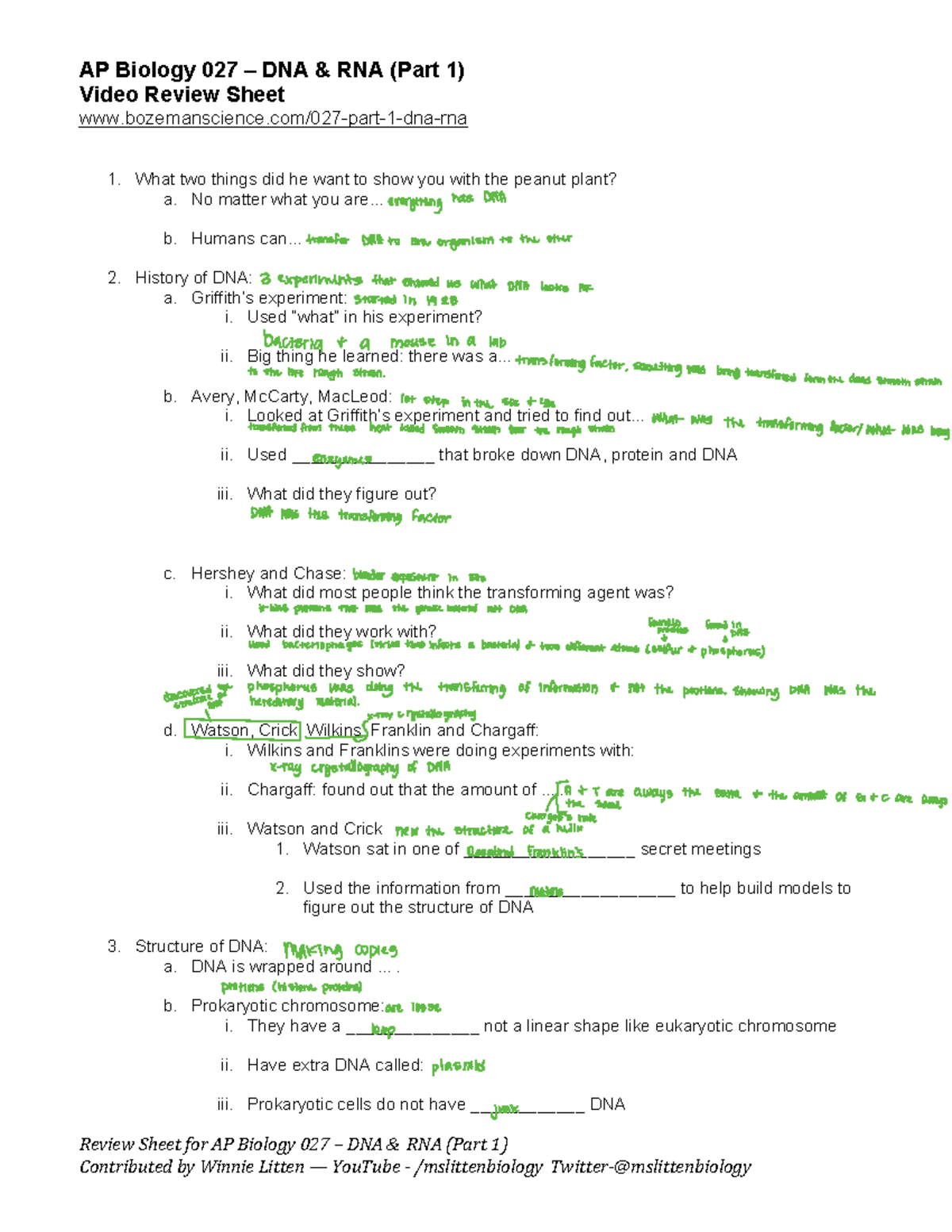 AP Biology 027 DNA & RNA (Part 1) Video Review Notes - Studocu