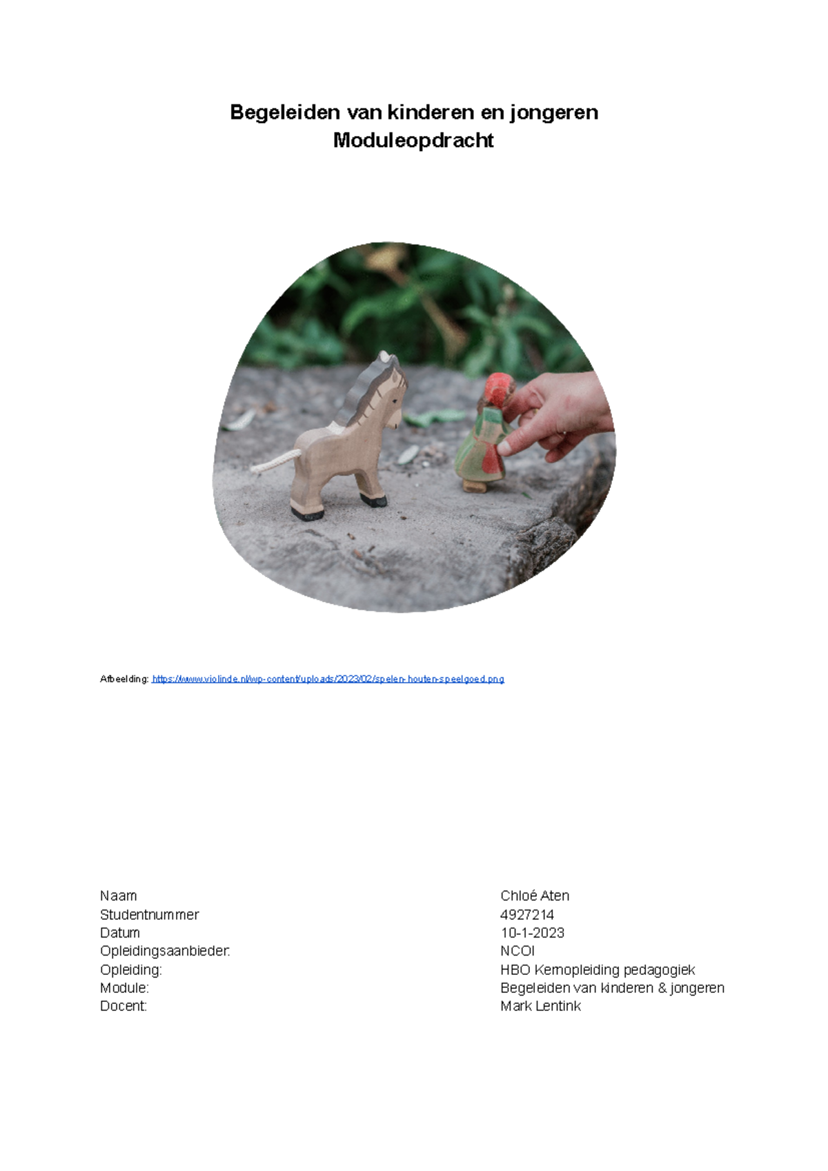 HBO Moduleopdracht: Begeleiden van Kinderen & Jongeren - Zara's Casus ...