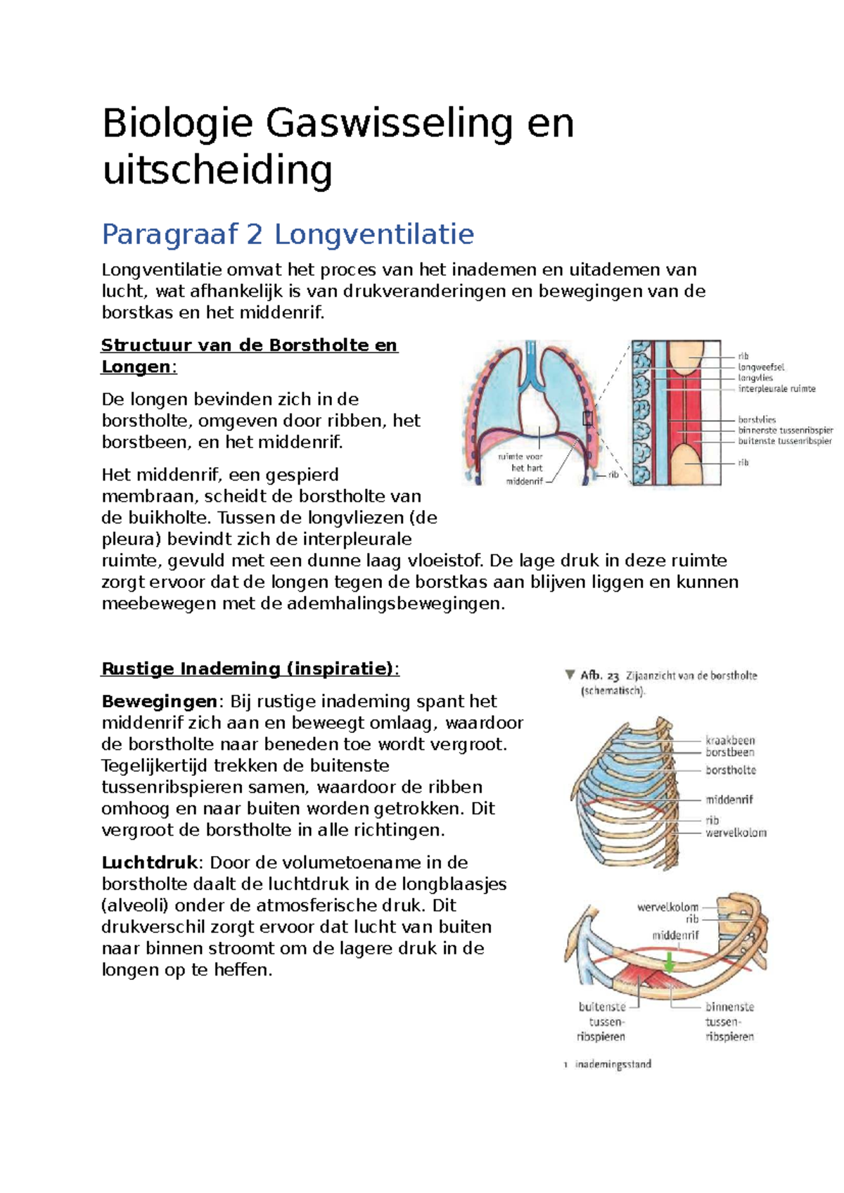 Biologie H3: Gaswisseling en Uitscheiding - Longventilatie en ...