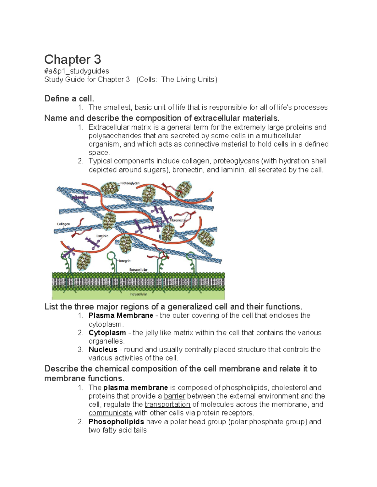 A&P1: Chapter 3 Study Guide on Cell Structure and Function - Studocu