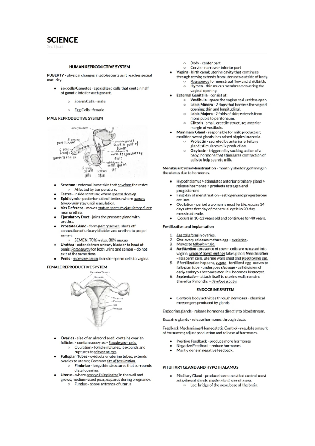 SCIENCE 2nd Quart Summary: Nervous, Reproductive, Endocrine, DNA/RNA ...