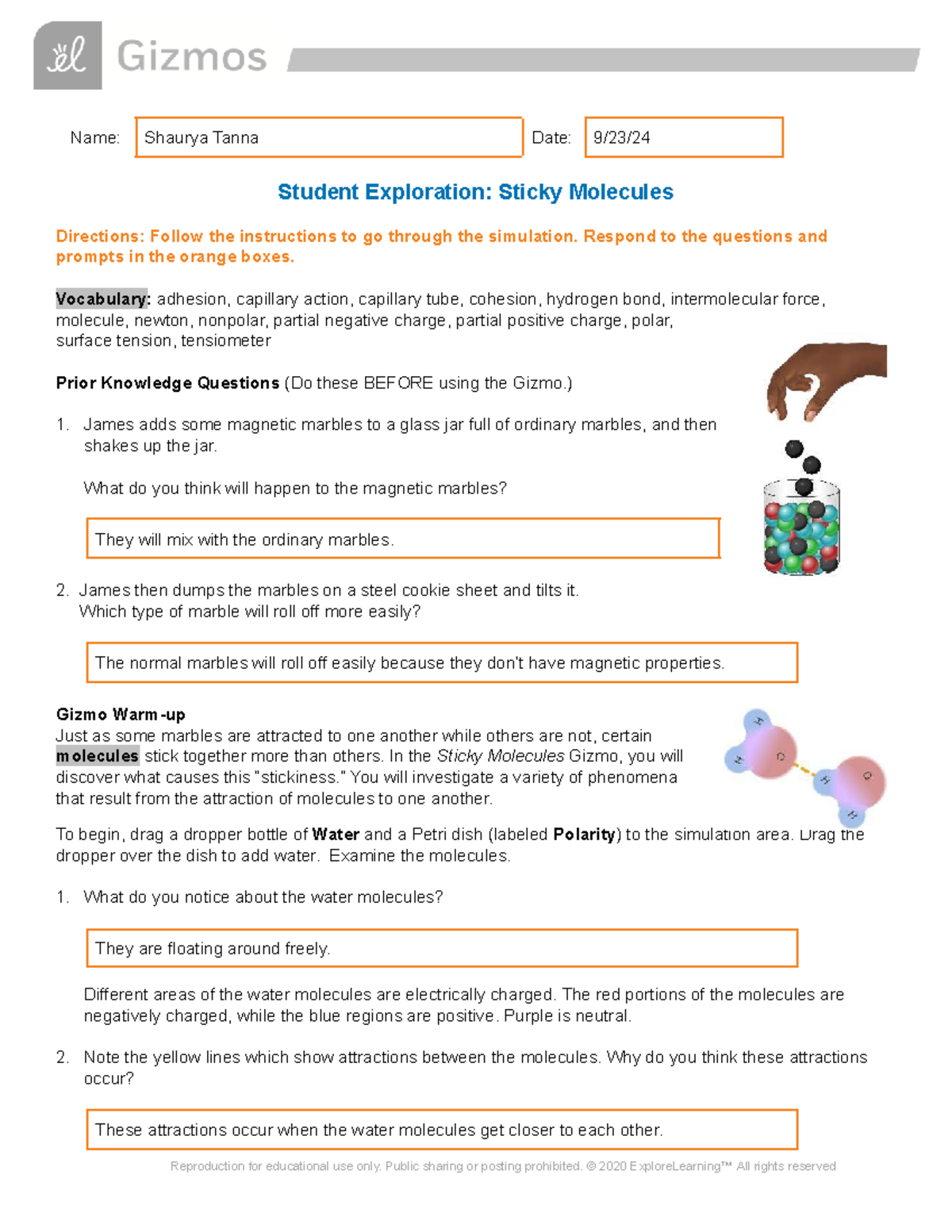 Sticky Molecules Gizmo Exploration: Understanding Adhesion & Cohesion ...