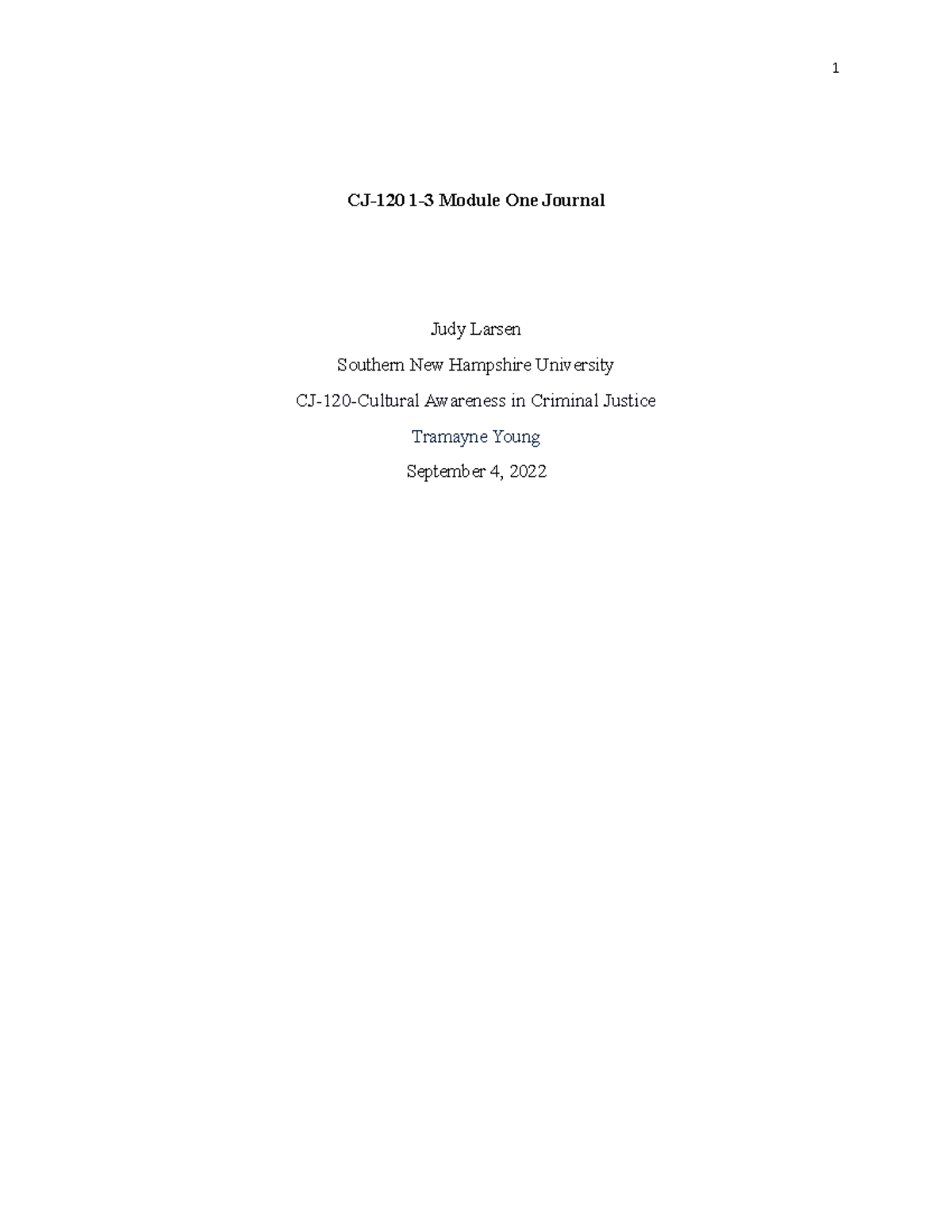 CJ-120 Reflective Journal: Encounter with Racism in Stone Mountain ...