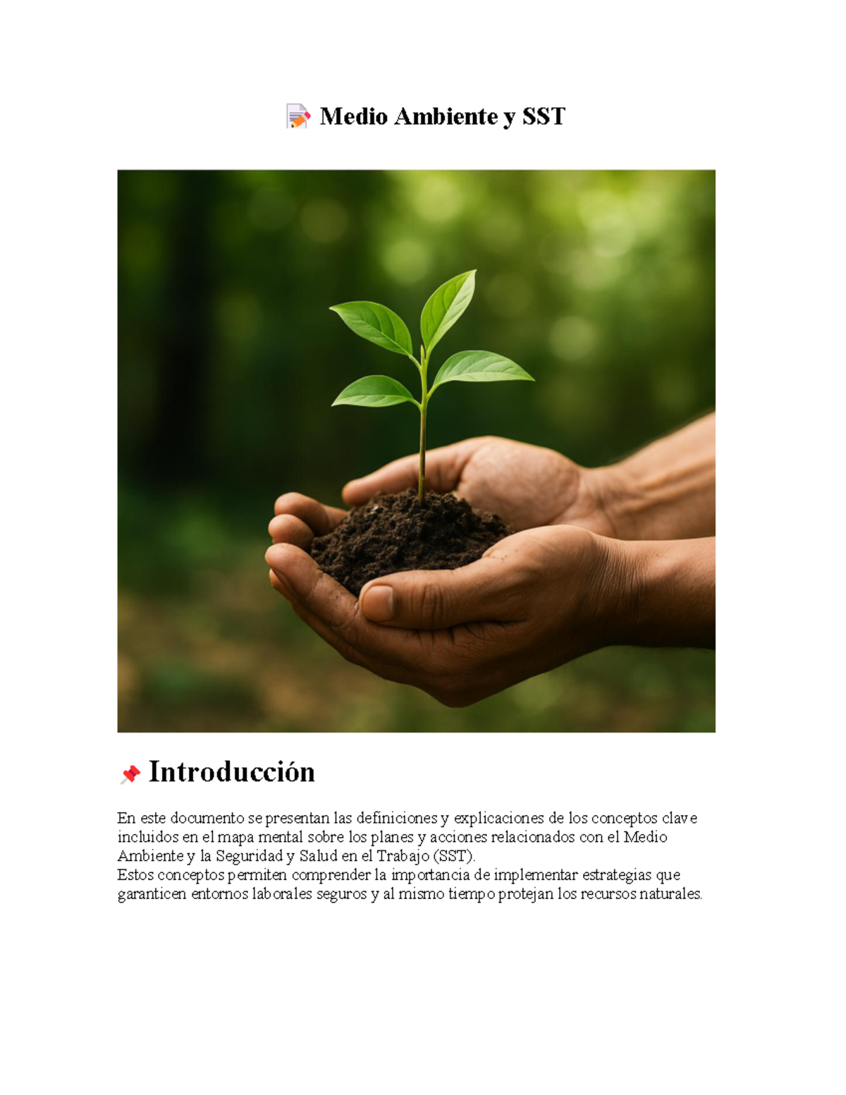 Medio Ambiente y SST: Conceptos Clave y Estrategias - Studocu