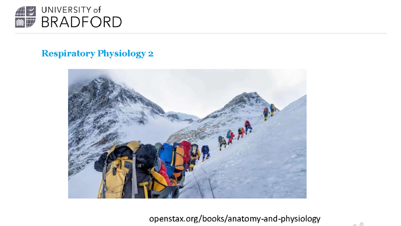Respiratory Physiology 2: Lung Function and Mechanics Overview - Studocu