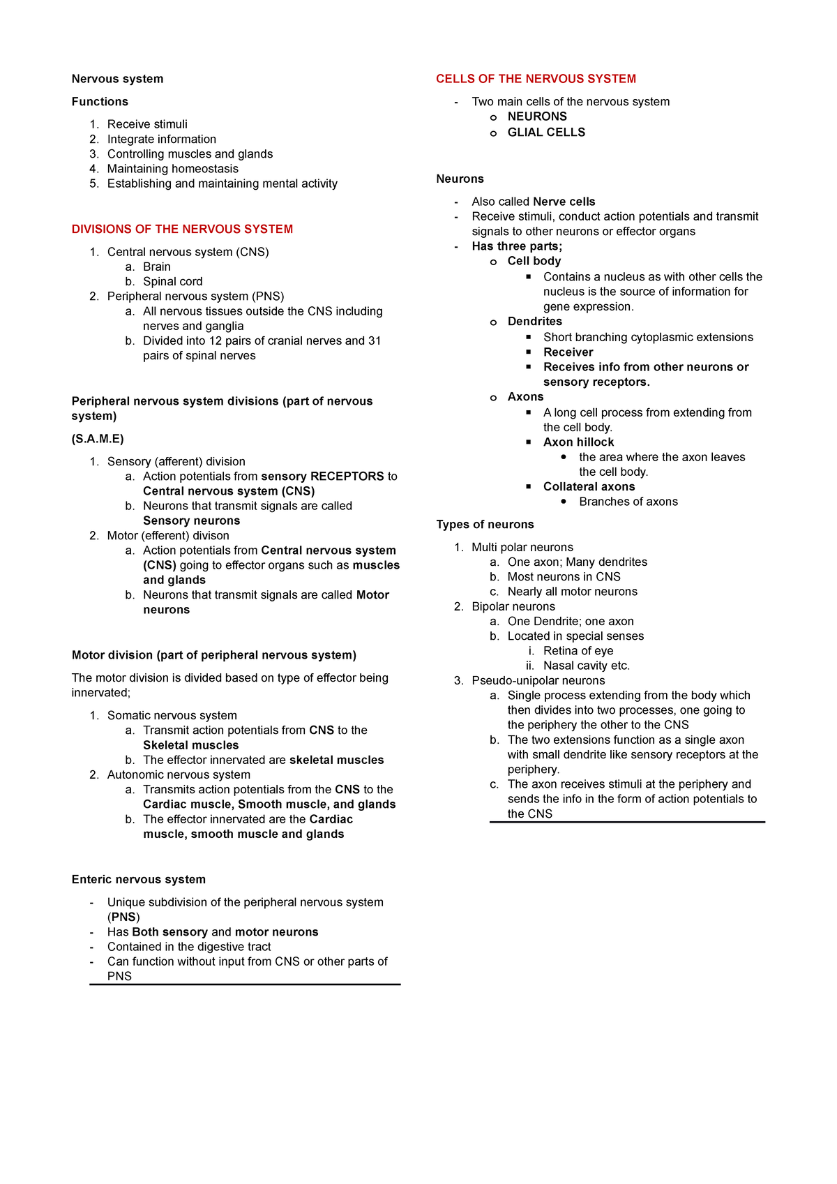 Nervous System - Comprehensive Anatomy and Physiology Notes - Studocu