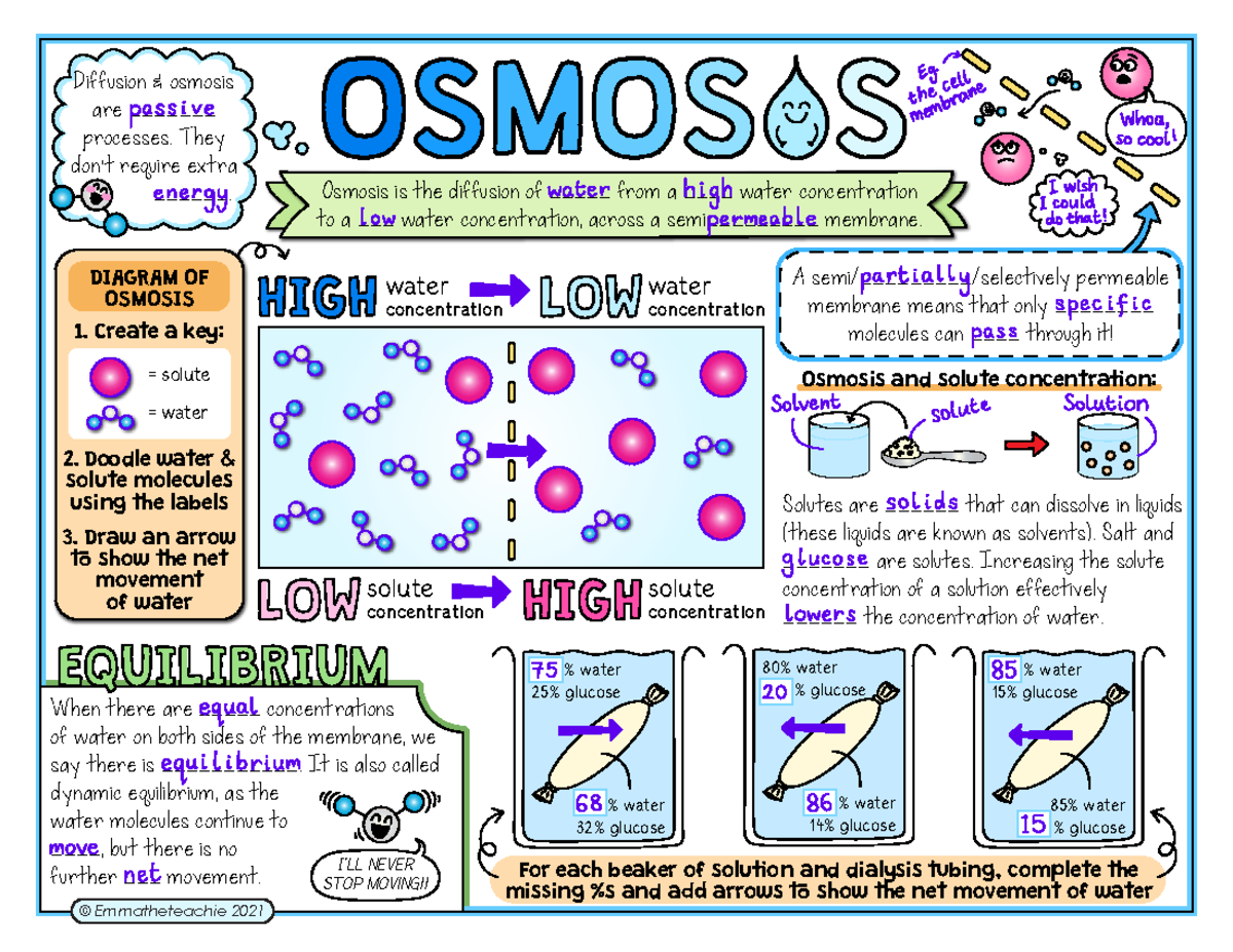 Osmosis and Water Potential: Understanding Solutions & Cell Effects ...