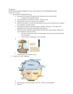 BIS 2C Midterm 1 PREP - LECTURENOtESNO i T.EEE I E i i ii iiiiiiii IIII ...