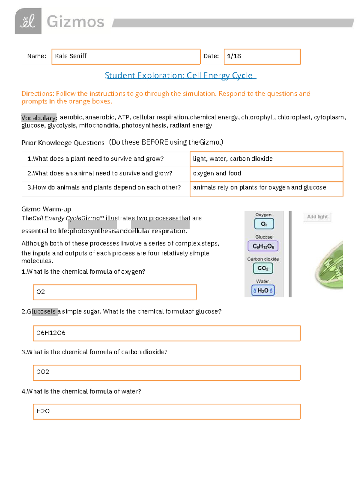 Kale Seniff - Cell Energy Cycle Gizmos - Name: Kale Seniff C6H12O 3 is ...