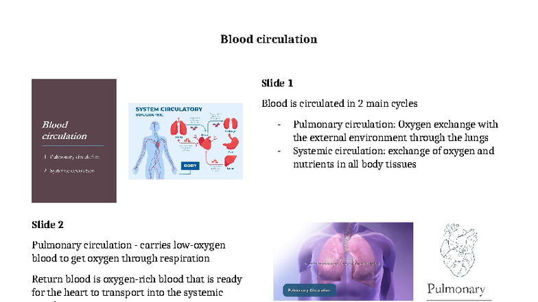 Blood Circulation Overview: Pulmonary & Systemic Cycles - Studocu