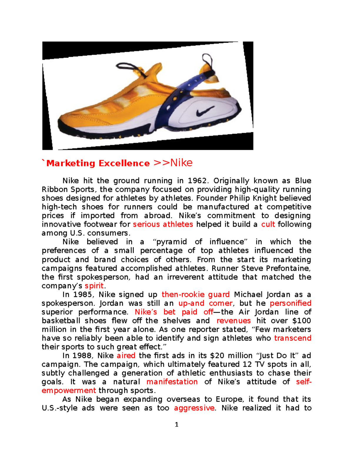 Marketing Excellence Nike-Case Study - `Marketing Excellence >>Nike ...