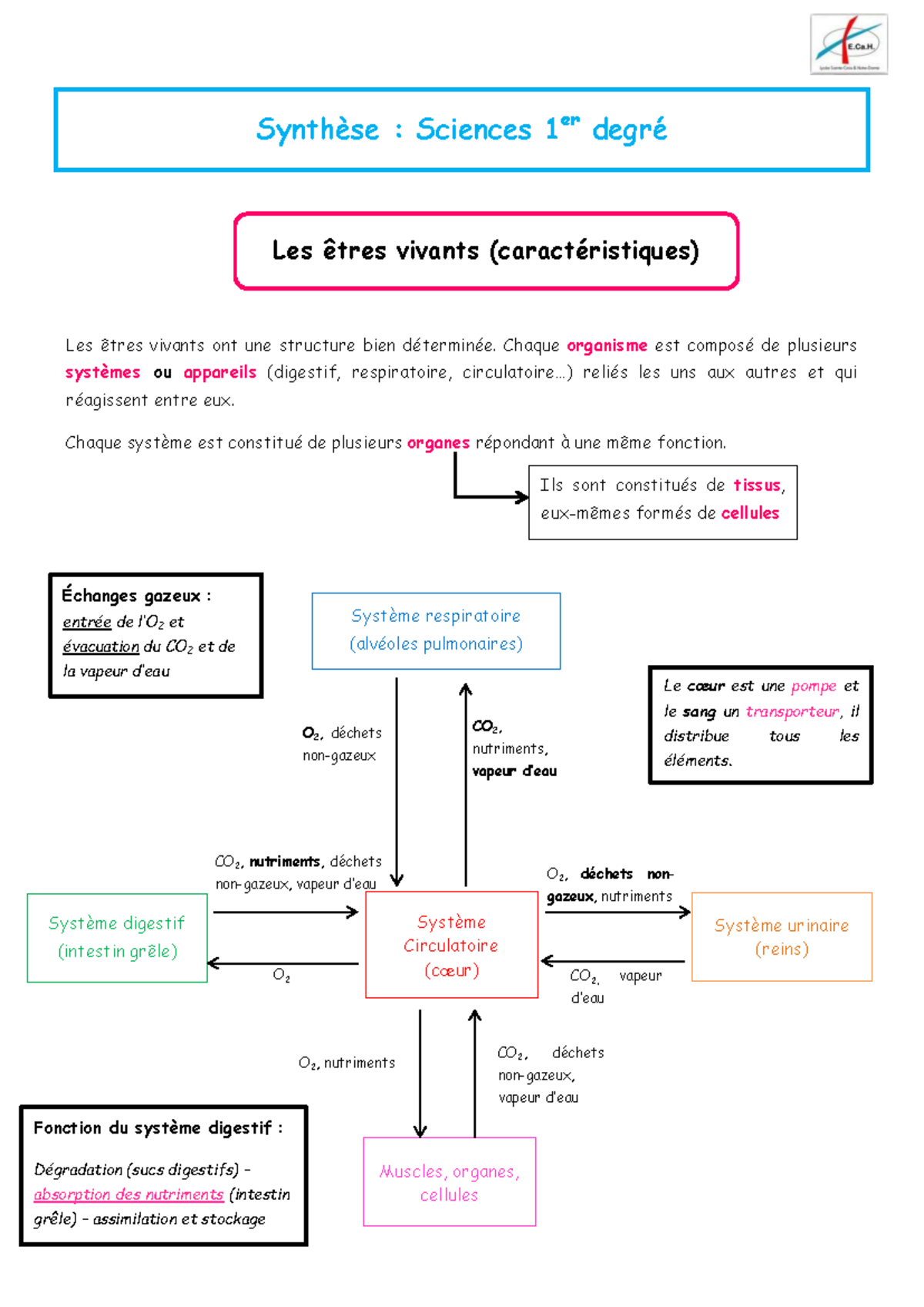Synthèse : Sciences 1er degré - Les êtres vivants et leurs ...
