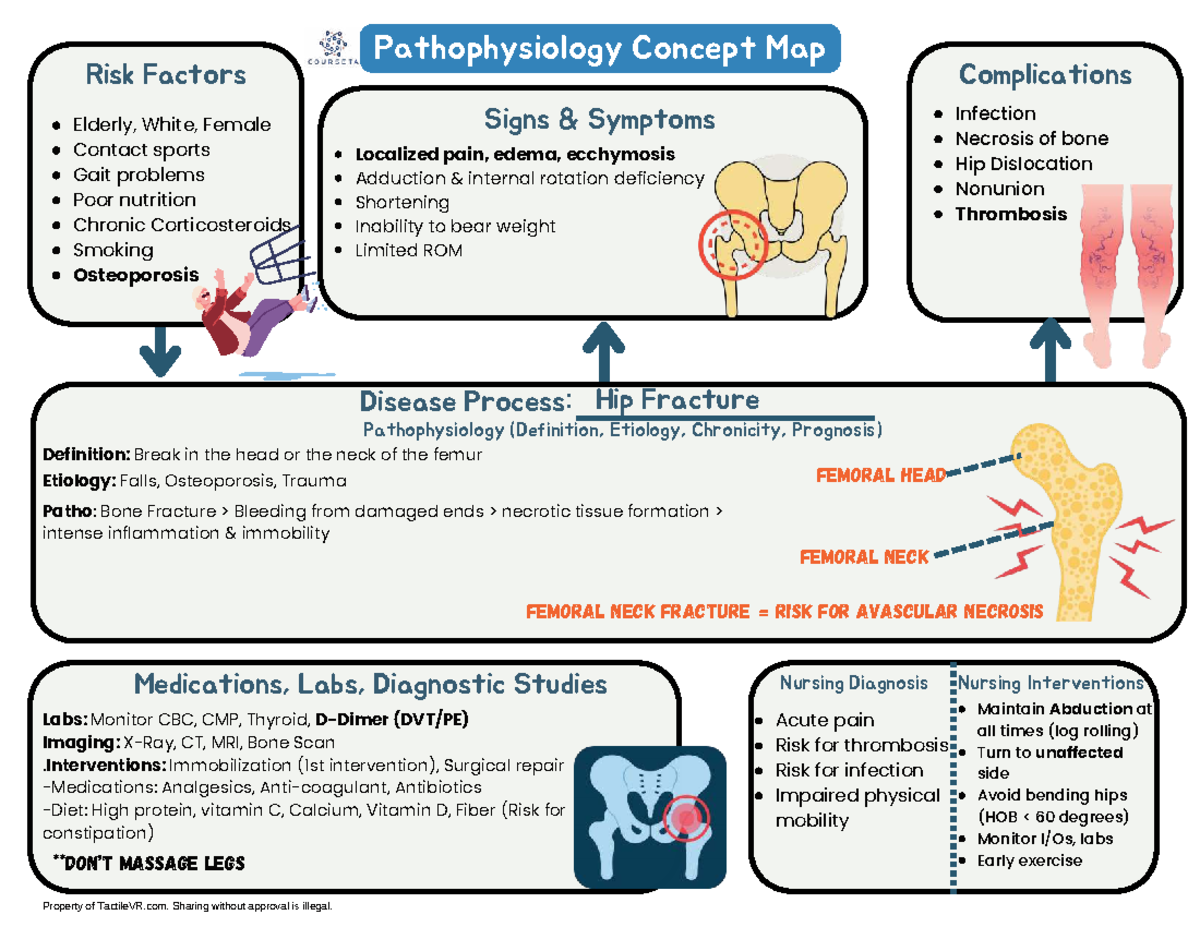 Ortho Patho Concept Map: Risk Factors, Disease Processes, and ...