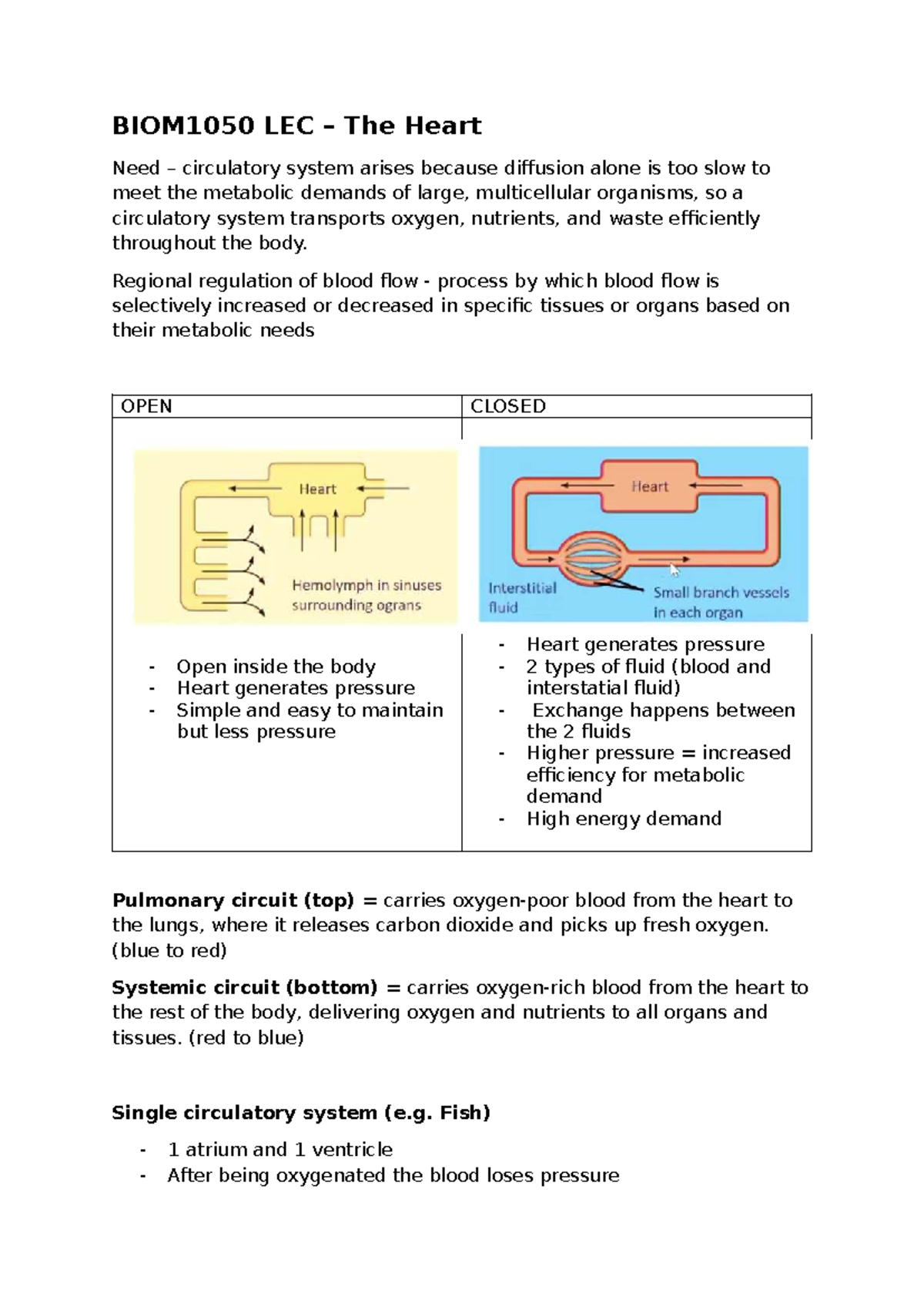 BIOM1050 LEC 2 The Heart and Circulatory System Overview - Studocu