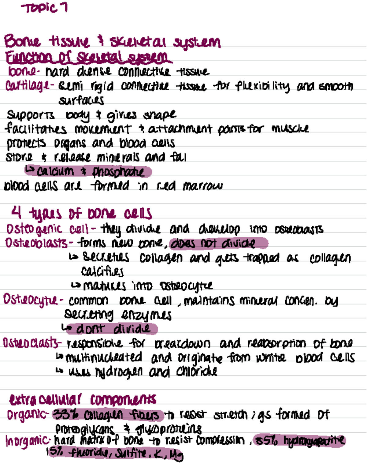 Anatomy & physiology 1 bone tissue & skeletal system - To p i c 7 Bone ...