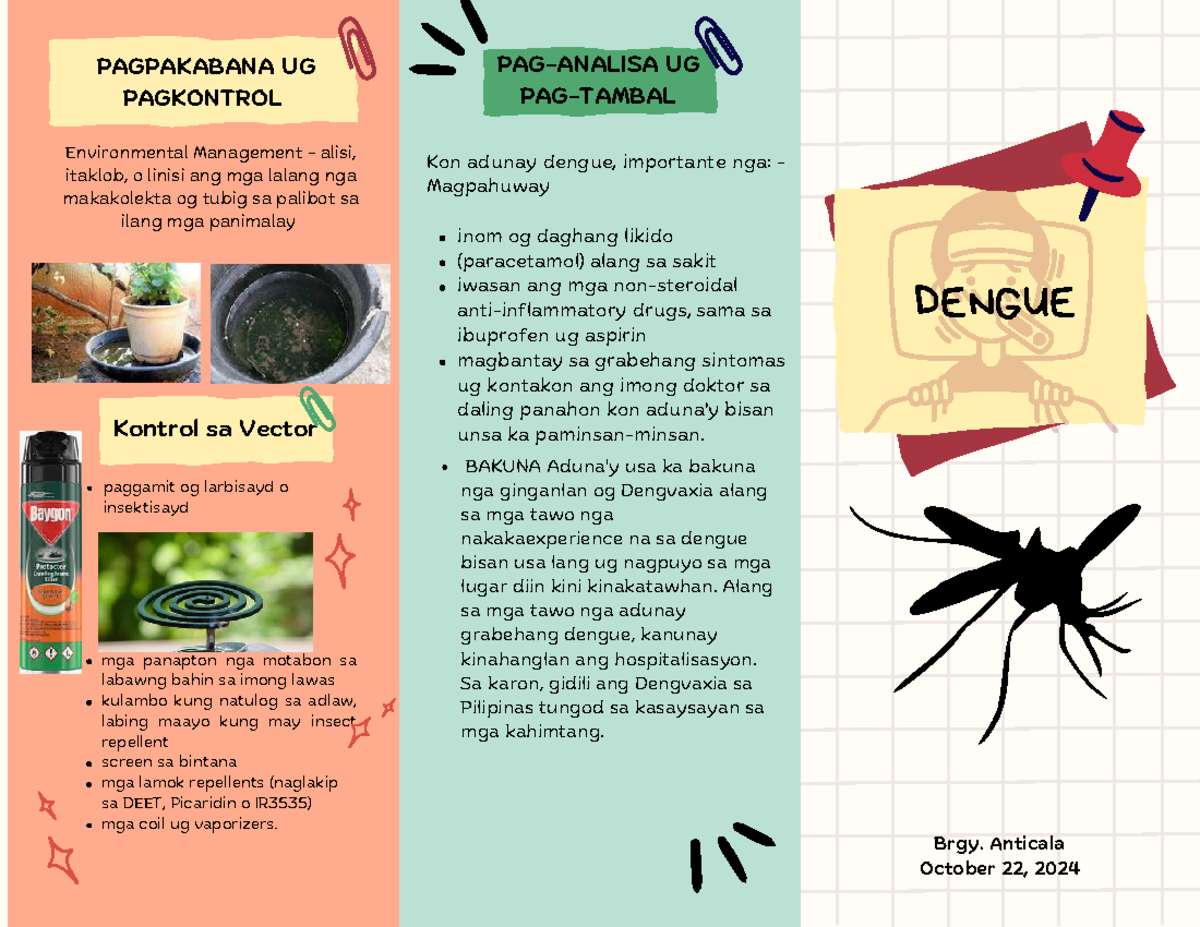 DENGUE Pamphlet: Community Health Nursing Guidelines - Studocu