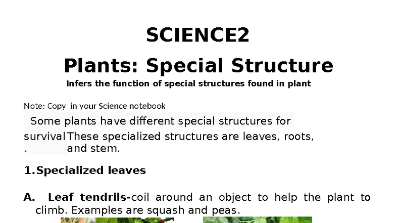 SCIENCE2 Special Structures of Plants: Survival Mechanisms and Habitats ...