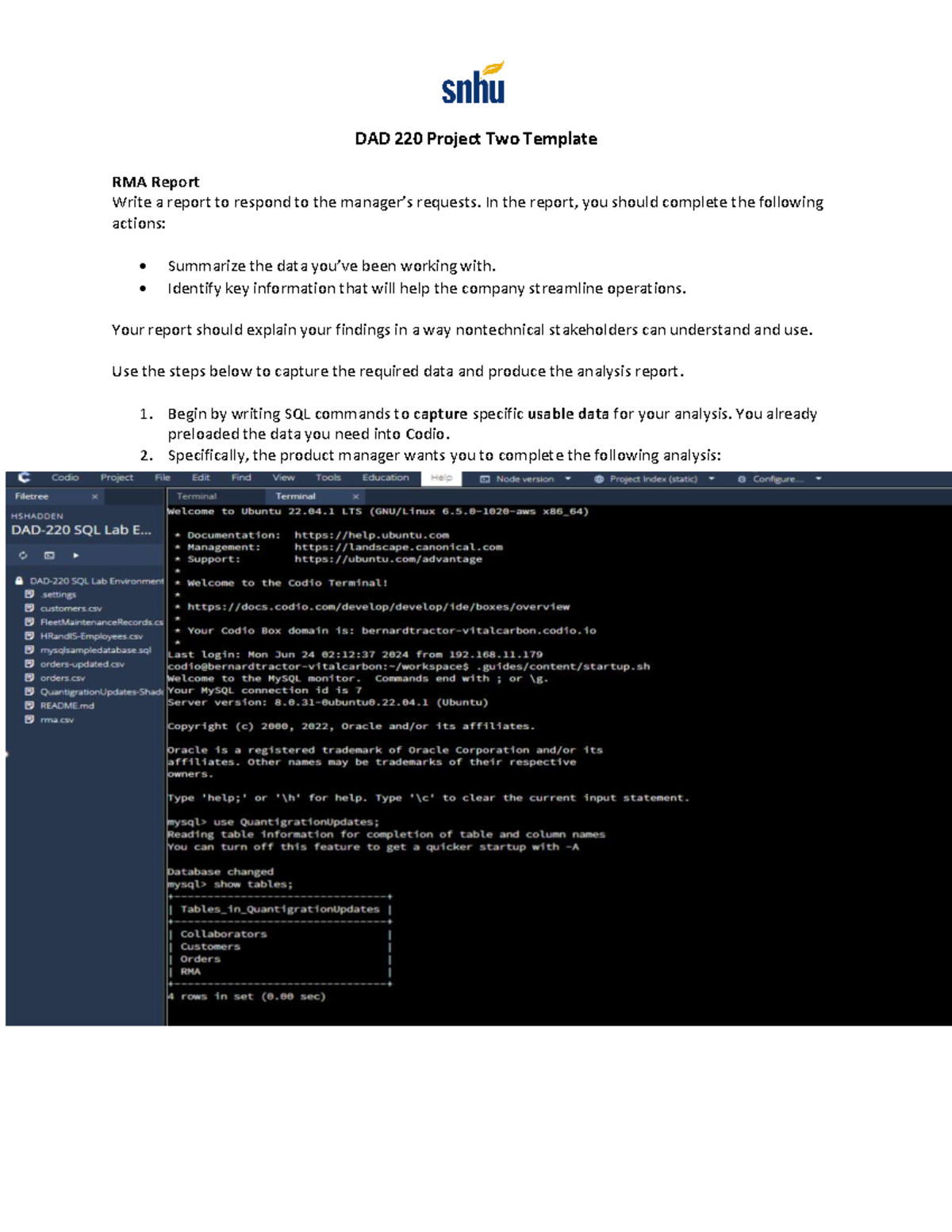 DAD 220 Project Two: RMA Report Analysis and Findings - Studocu