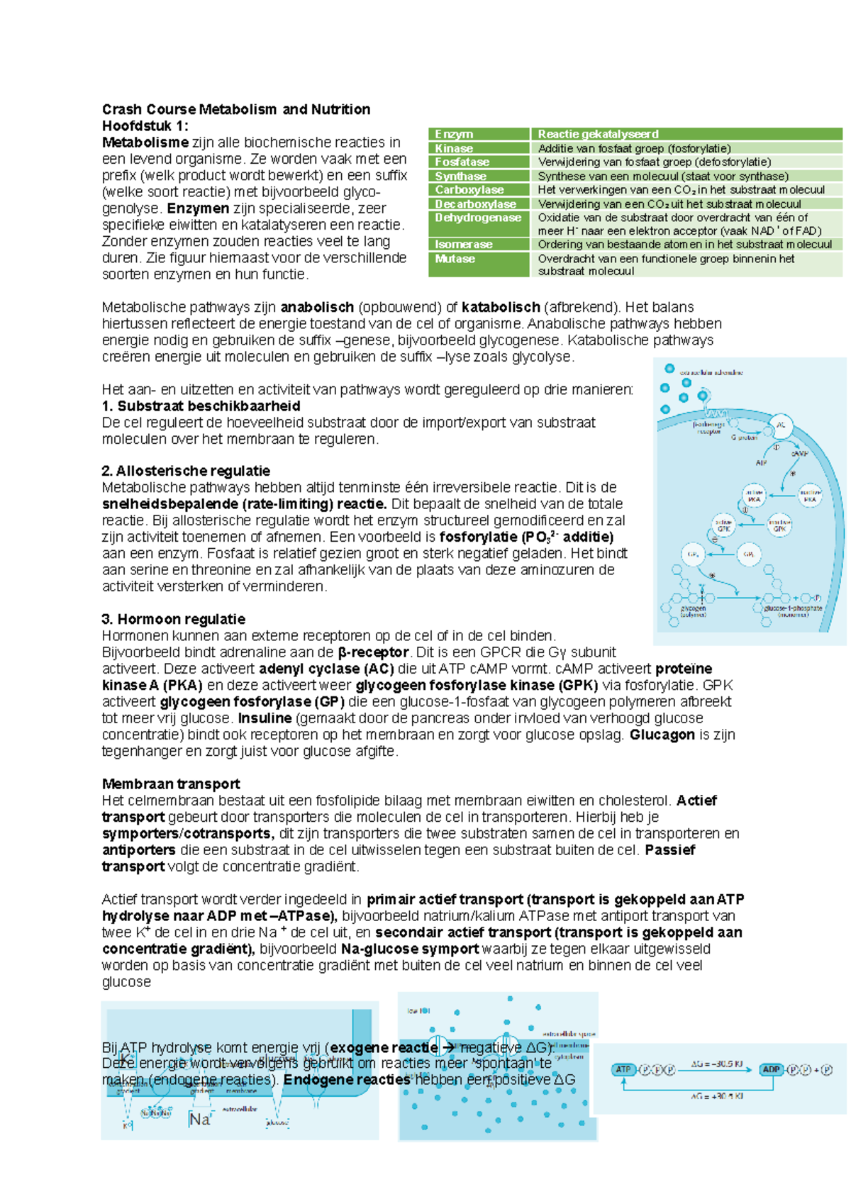 Crash Course Metabolism & Nutrition: Hoofdstuk 1 tot 4 Samenvatting ...