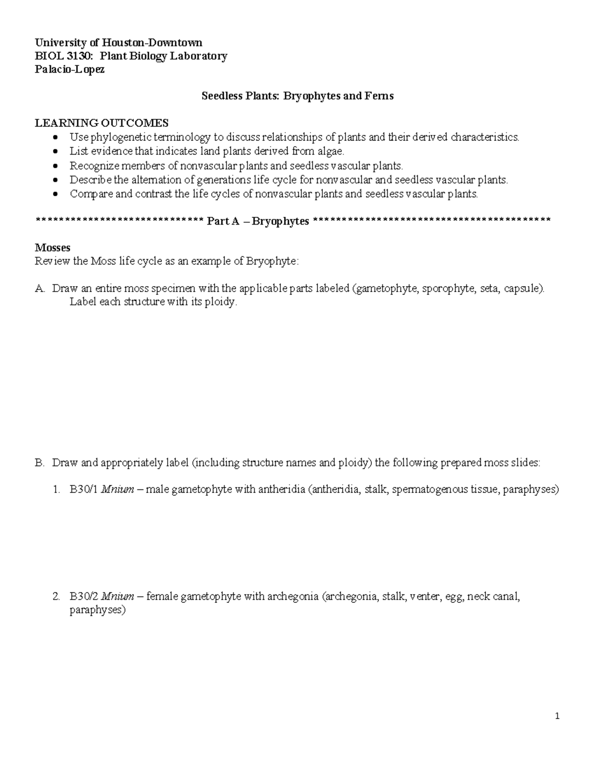 BIOL 3130: Seedless Plants Lab Overview - Bryophytes & Ferns Insights ...
