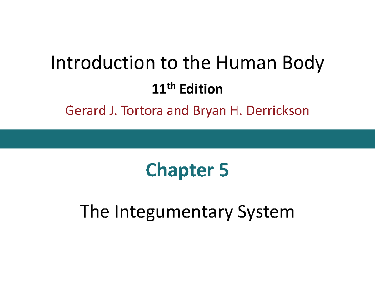 Introduction to the Human Body: Chapter 5 - Integumentary System - Studocu