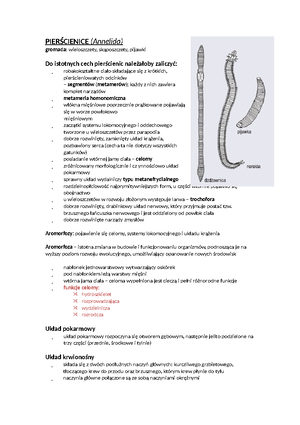 Test R9 R10. Układ nerwowy. Narządy zmysłów w.1 Test (z widoczną ...
