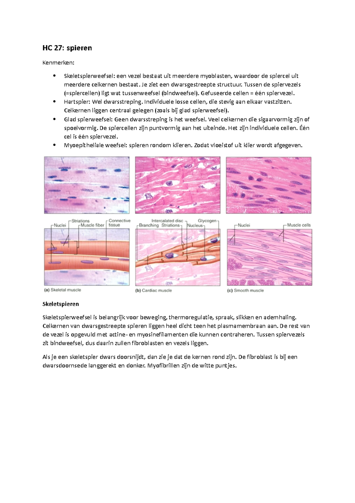 HC27, 28, 29 Spieren - hoorcollege aantekeningen - HC 27: spieren ...