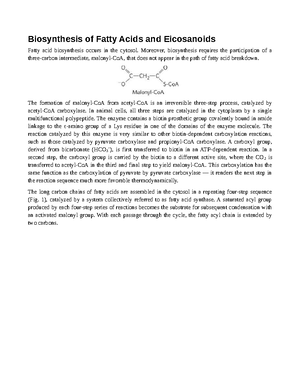 [Solved] A sample of lab report on the rate of solution of magnesium ...