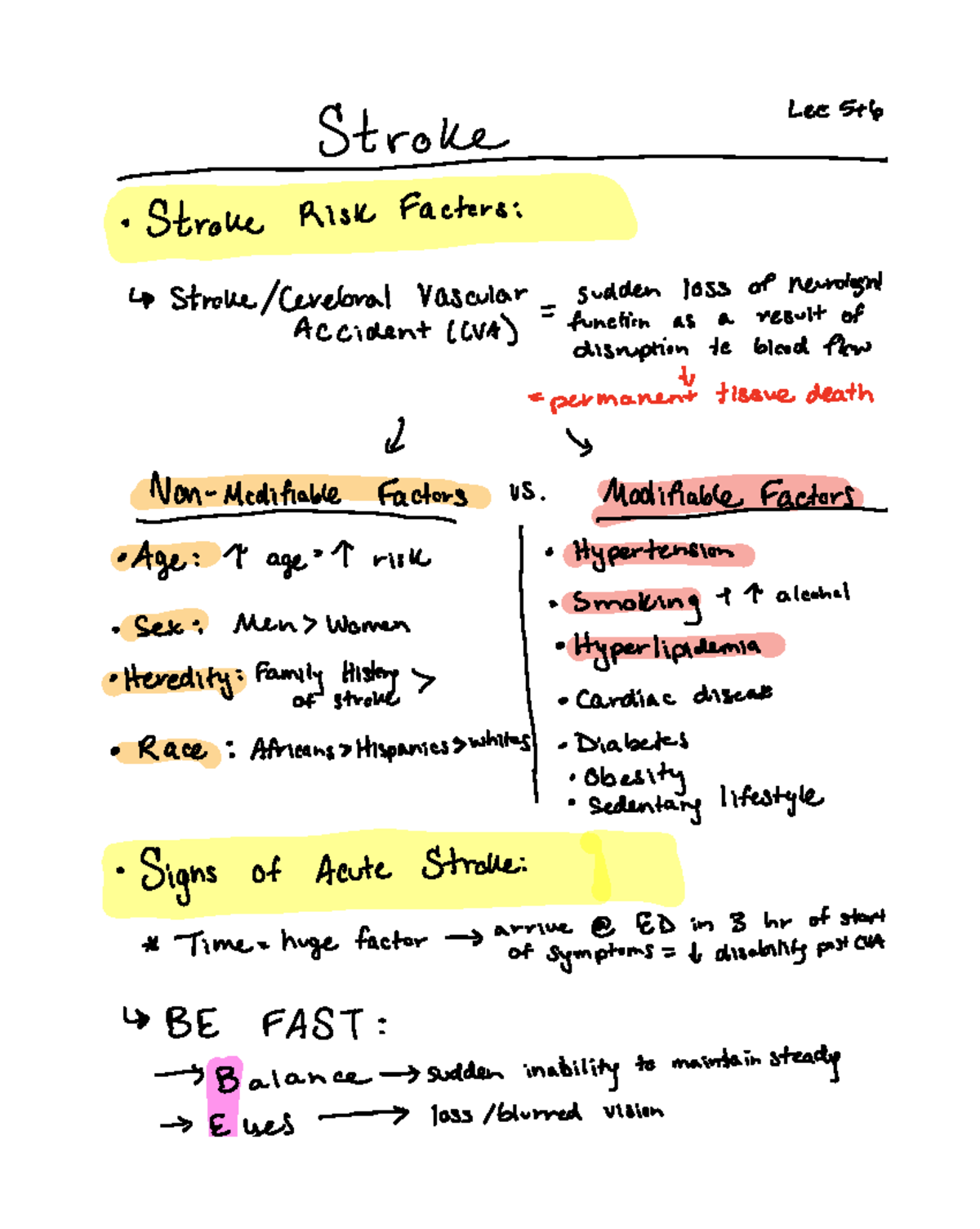 Comprehensive Overview of Stroke Types & Rehab Strategies (PT 101 ...