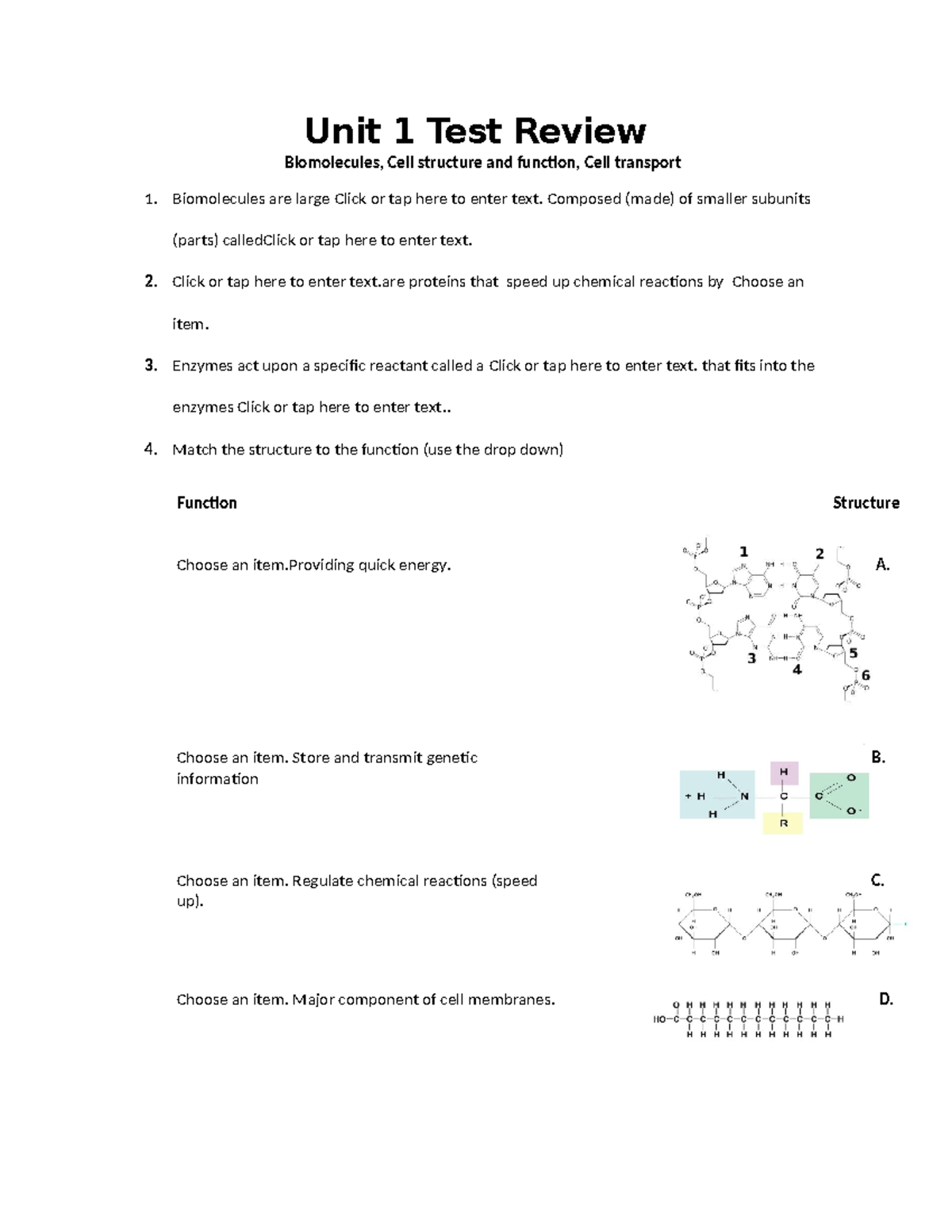 Unit 1 Test Review: Biomolecules, Cell Structure & Function Concepts ...