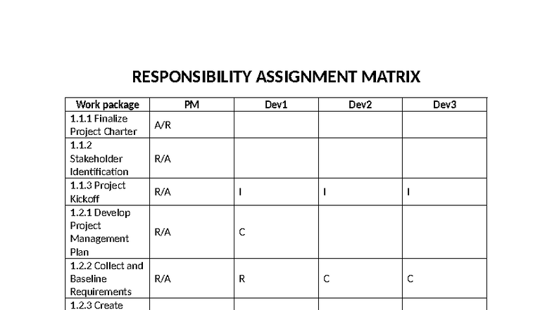 Responsibility Assignment Matrix - RESPONSIBILITY ASSIGNMENT MATRIX Work package PM Dev1 Dev2 ...