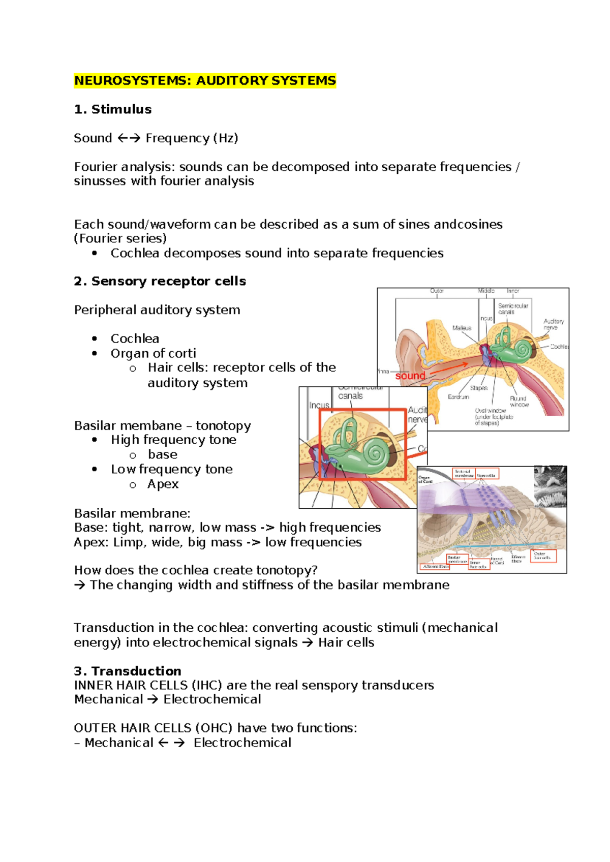 Neurosystems 101: Auditory Systems Lecture Notes - Studeersnel