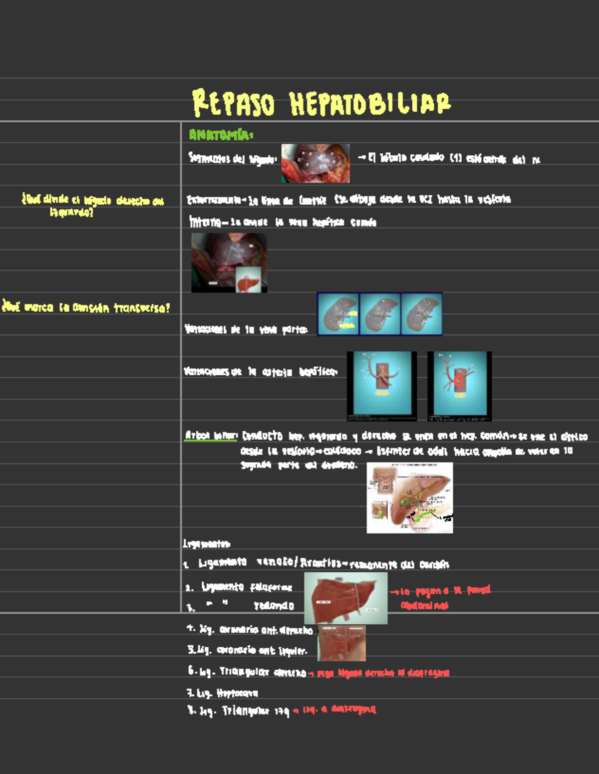 Repaso Hepatobiliar: Anatomía y Fistulas Pancreáticas - HBTB 2023 - Studocu