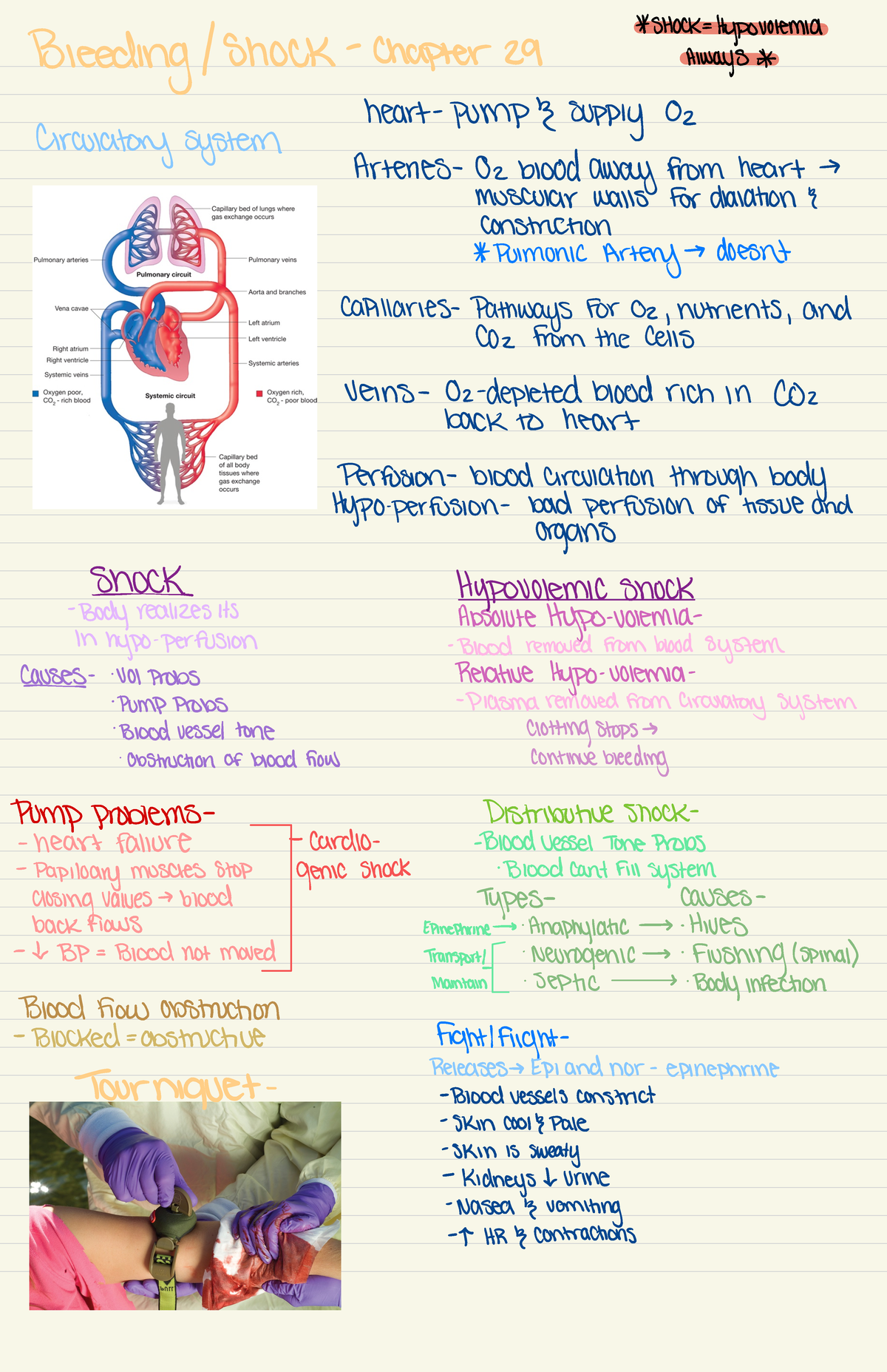 Bleeding and Shock: Understanding Hypovolemic Shock and Its Effects ...