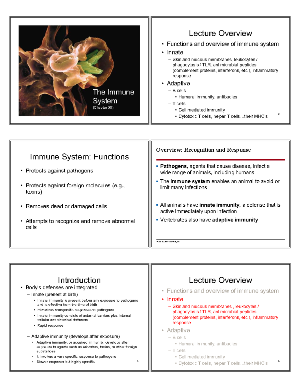 Lecture 4: Overview of the Immune System and Innate Immunity Functions ...