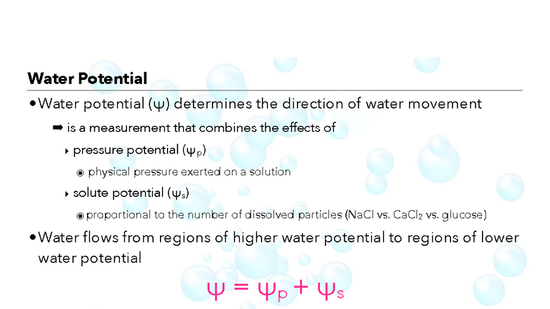 Water Potential (ψ) Key Concepts & Tonicity Analysis for Bio 101 - Studocu